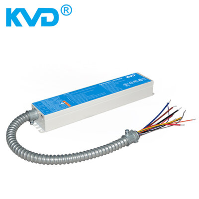 Emergency LED Driver Battery Powered Emergency Light Output Power 30W 1 ...